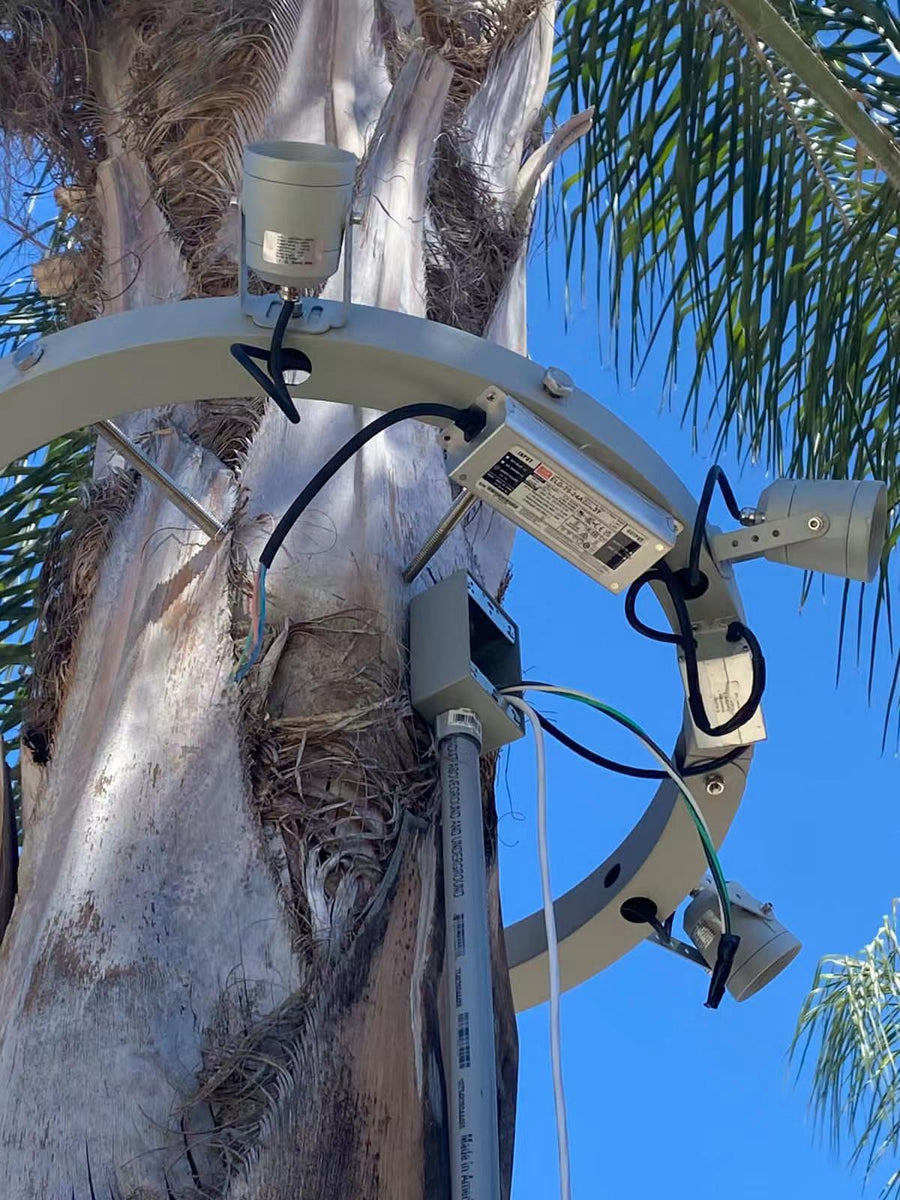 LED RING TREE LIGHT DIECAST ALUMINUM – Uni-Davis Lighting